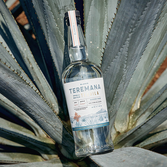 Making Mana – Teremana Tequila